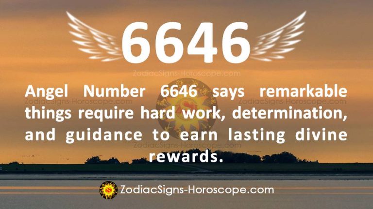 Significance of Seeing Angel Number 6646 Meaning: A Clear Path