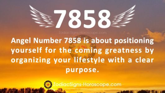 Significance and Influence of Angel Number 7858: Attract Abundance