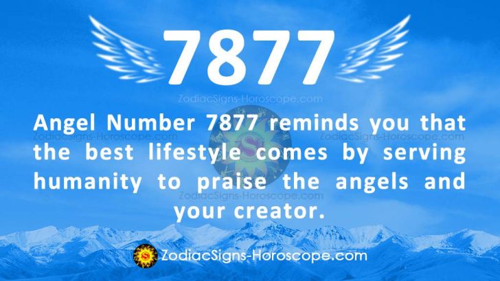 Seeing Angel Number 7877 Symbolic Essence: The Best Example