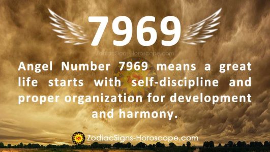 Significance of Angel Number 7969 Meaning: Organize Your Life