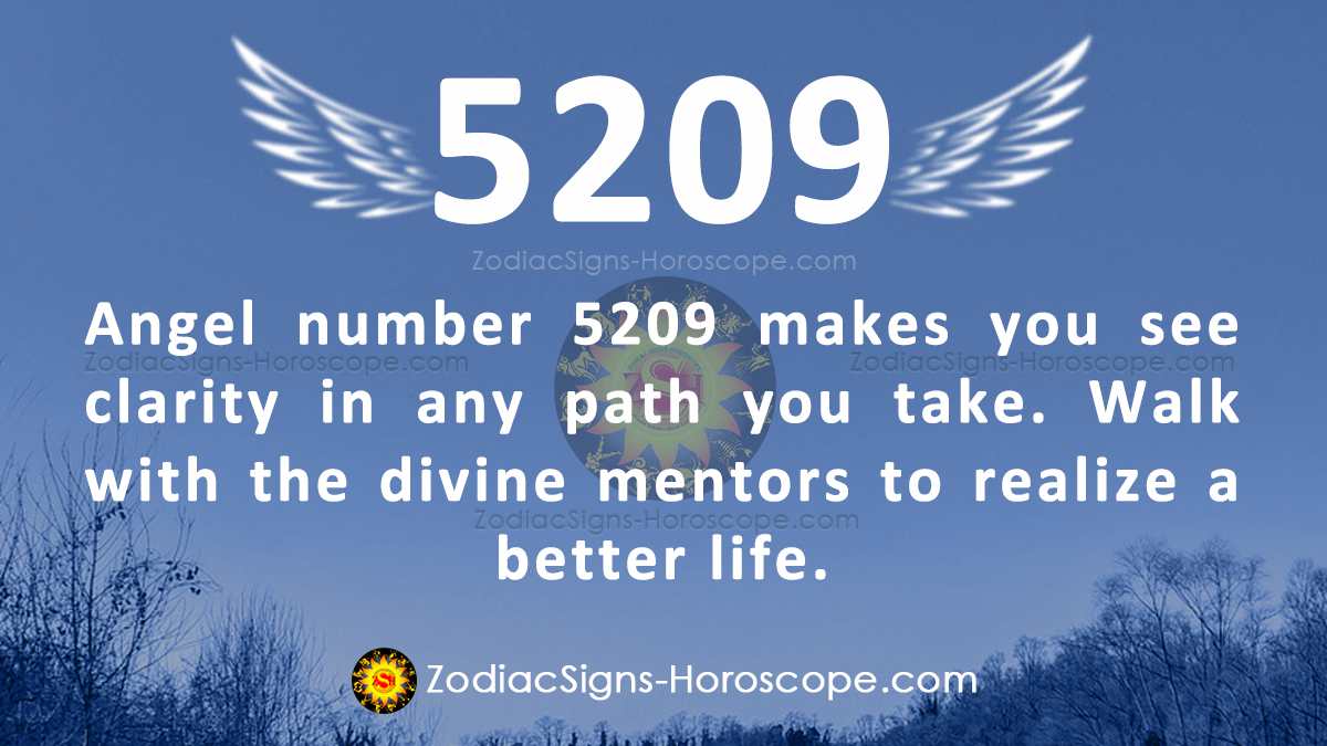 Importance of Seeing Angel Number 5209 Meaning: Divine Choices