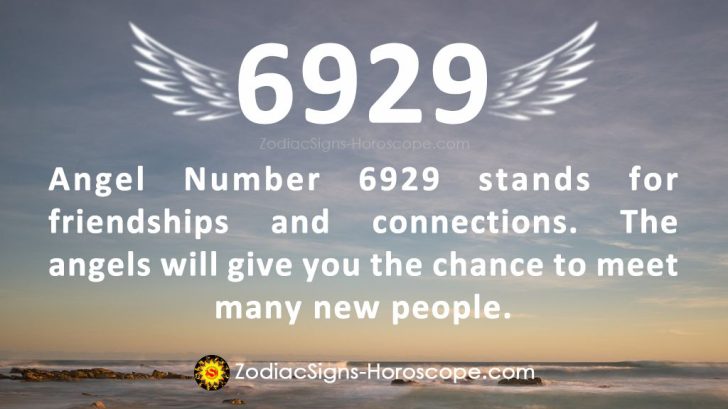 Seeing Angel Number 6929 Symbolizes Friendships and Connections