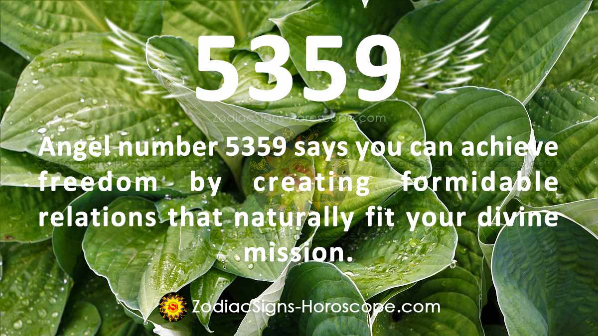 Spiritual Essence of Angel Number 5359: Creating Lasting Bonds