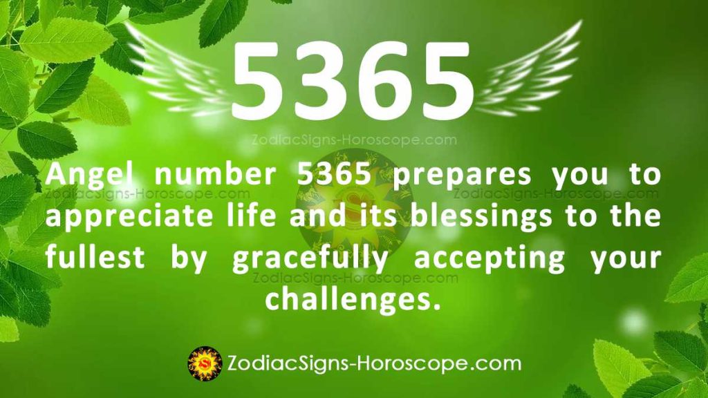 Spiritual Essence of Angel Number 5365 Meaning: A Beautiful Life