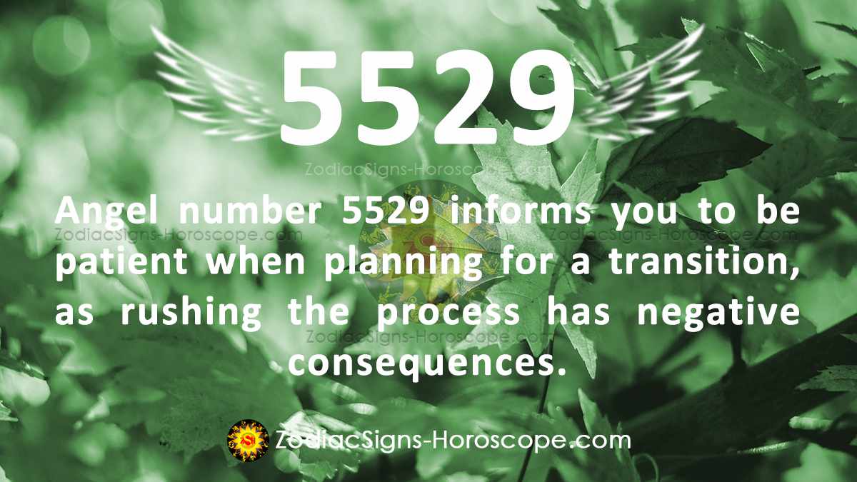 Seeing and Essence Angel Number 5529 Meaning: Take Your Time