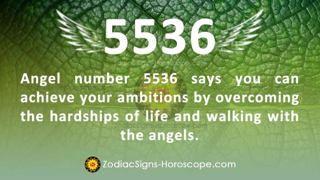 บทเรียนสำคัญจากเทวดาหมายเลข 5536: ความสม่ำเสมอของชีวิต