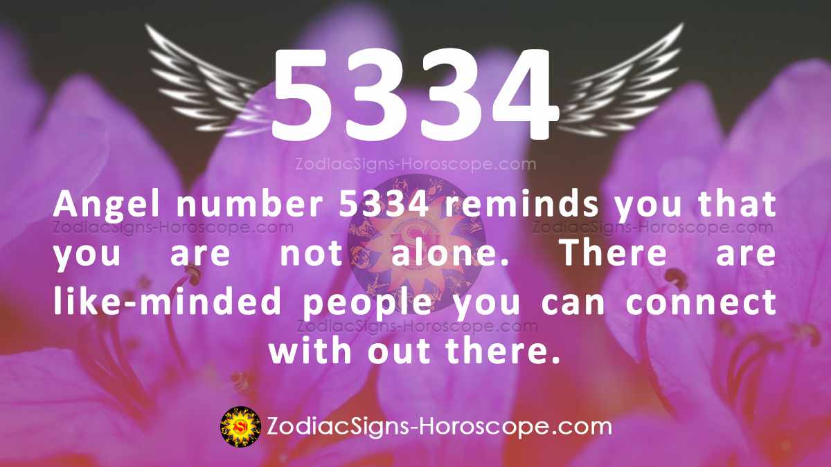 Angel Number 5334 Divine Reminder: You Are Not Alone