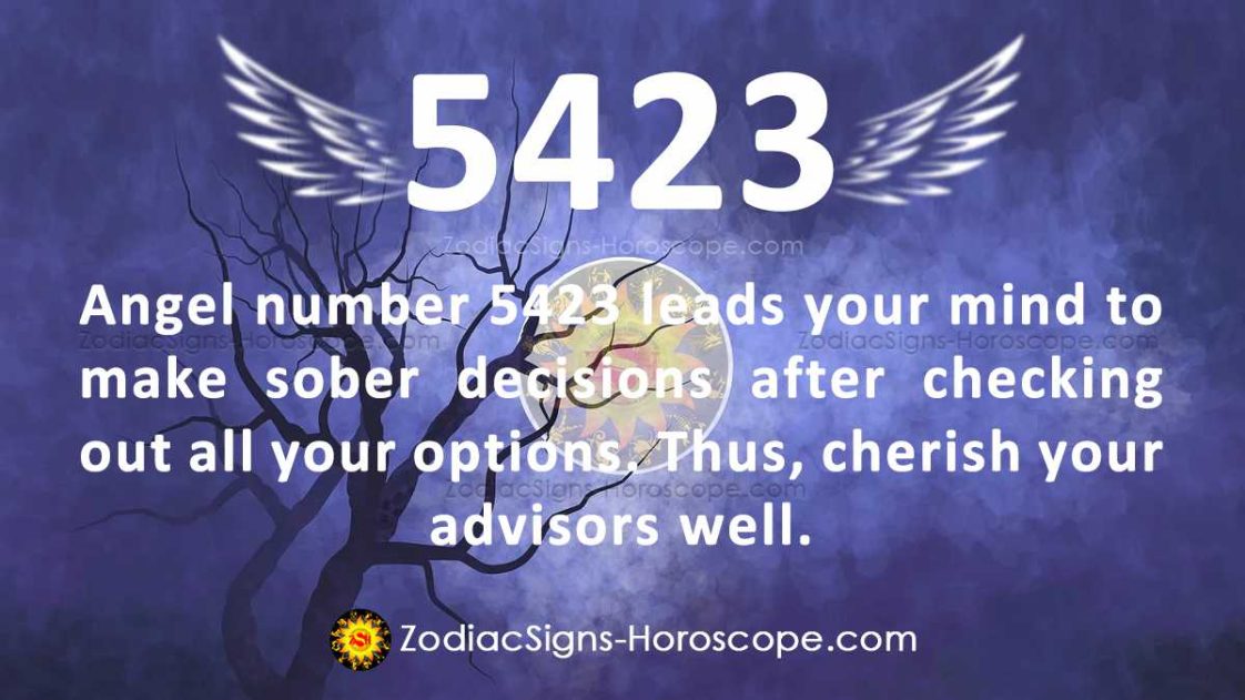 Life Significance of Angel Number 5423 Meaning: Appreciate Advice