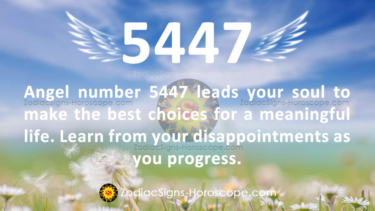 Secret Power of Seeing Angel Number 5447 Meaning: Prioritize Your Life