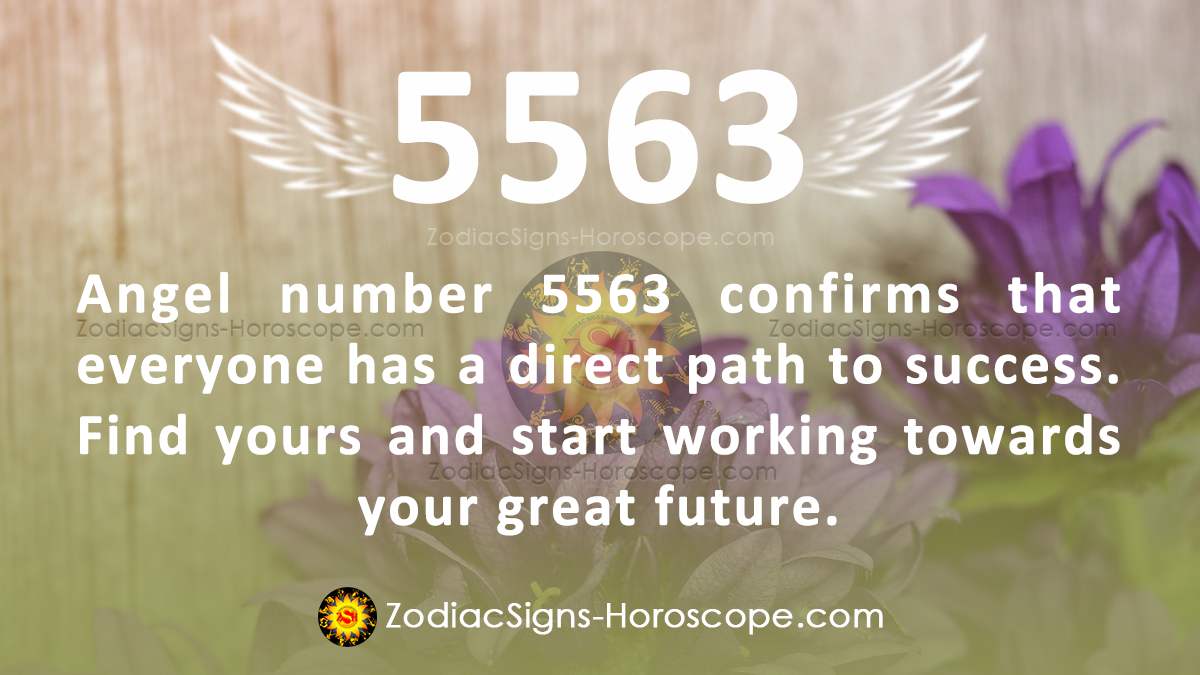 Secret Influence of Angel Number 5563 Meaning: Path to Success