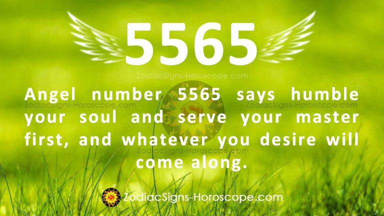 Life Lessons of Seeing Angel Number 5565: Godly Life | 5565 Twin Flame