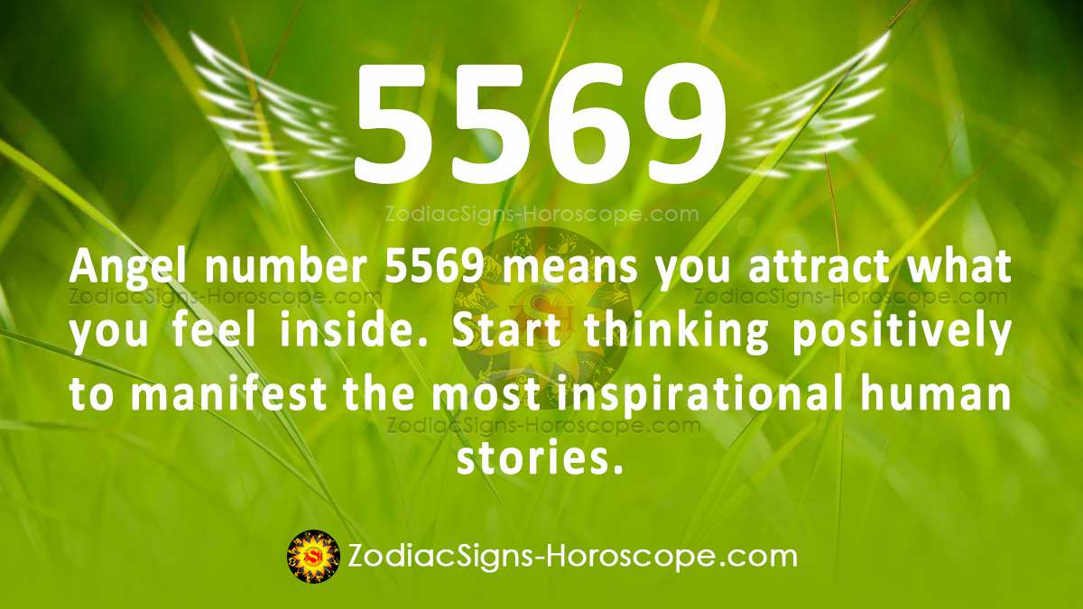 Secret Lessons of Angel Number 5569: A Positive Approach | 5569 Twin