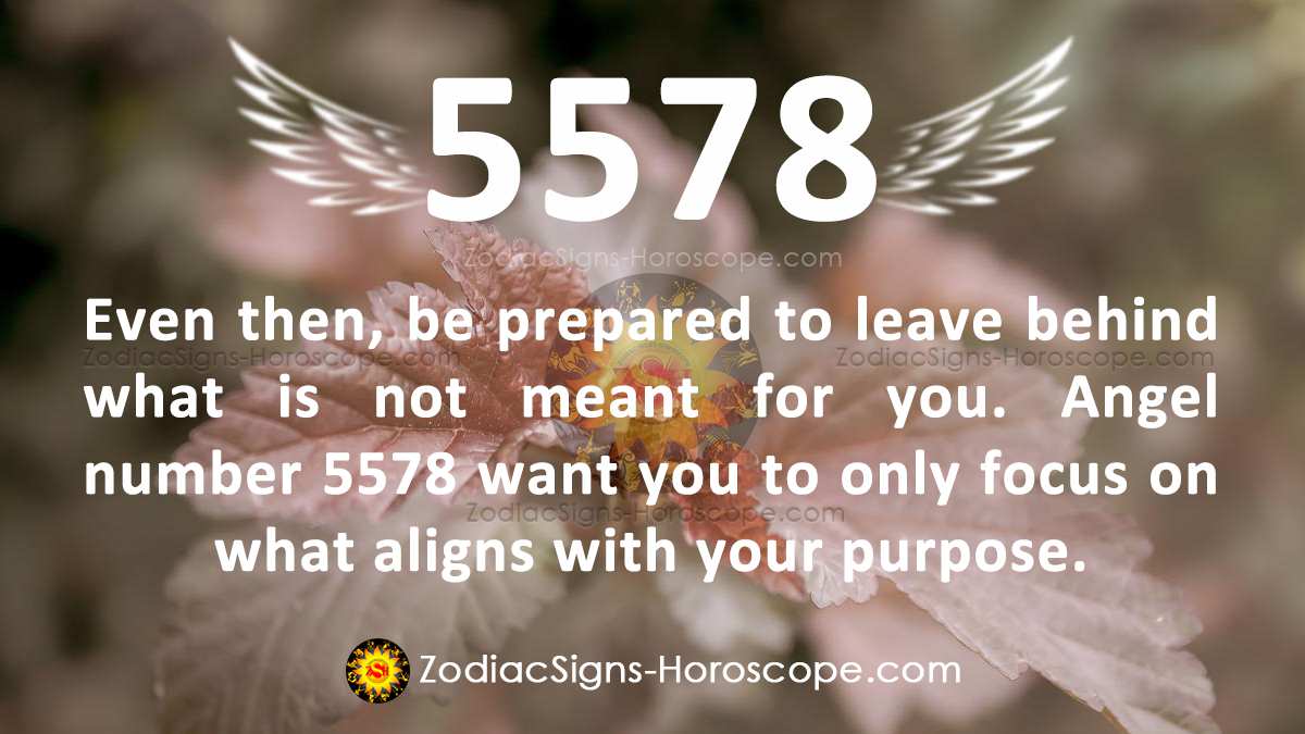 Seeing 5578 Angel Number More Than Once Means Daring Faith