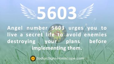 Angel Number 5603 Significance and Life lessons: Discreet Life