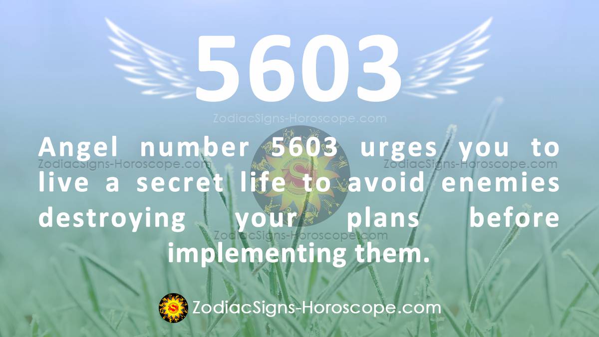 Angel Number 5603 Significance and Life lessons: Discreet Life