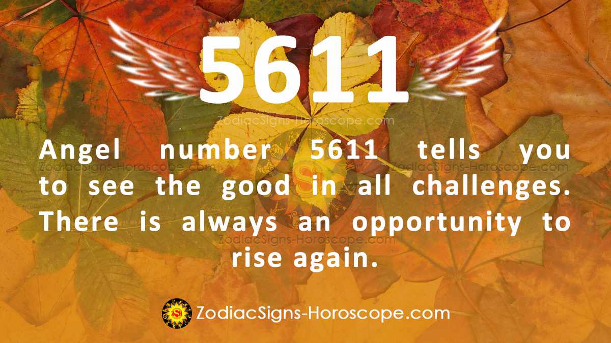Angel Number 5611 Meaning and Essence: Hard Work Pays