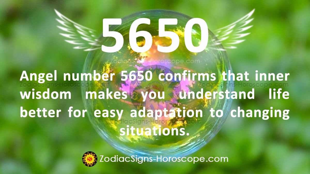 Seeing of Angel Number 5650 Meaning: Wisdom and Intelligence