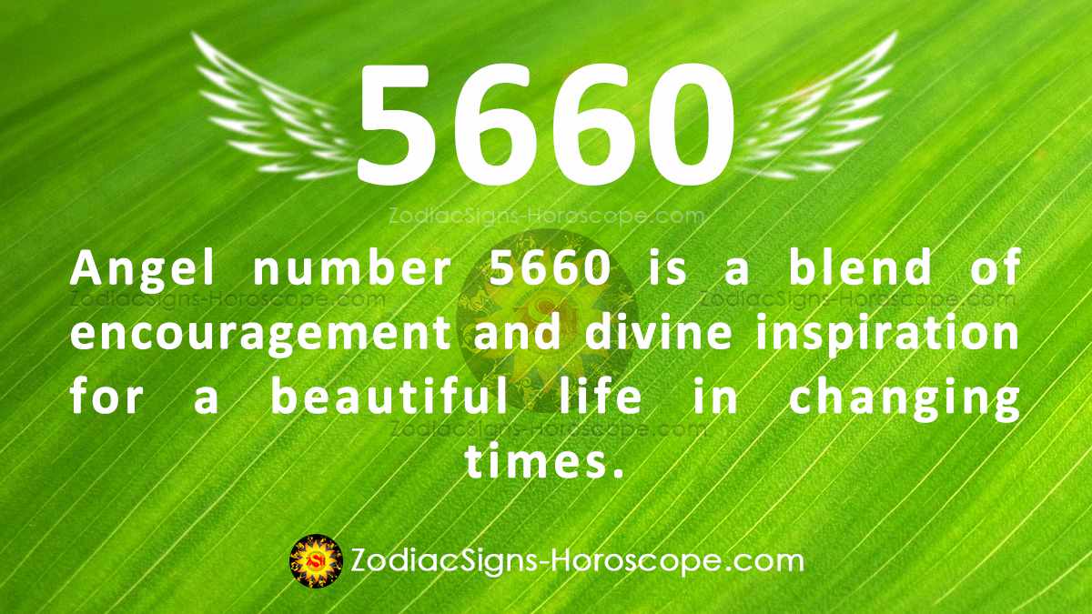 Life Essence of Angel Number 5660 Meaning: Inspire Yourself