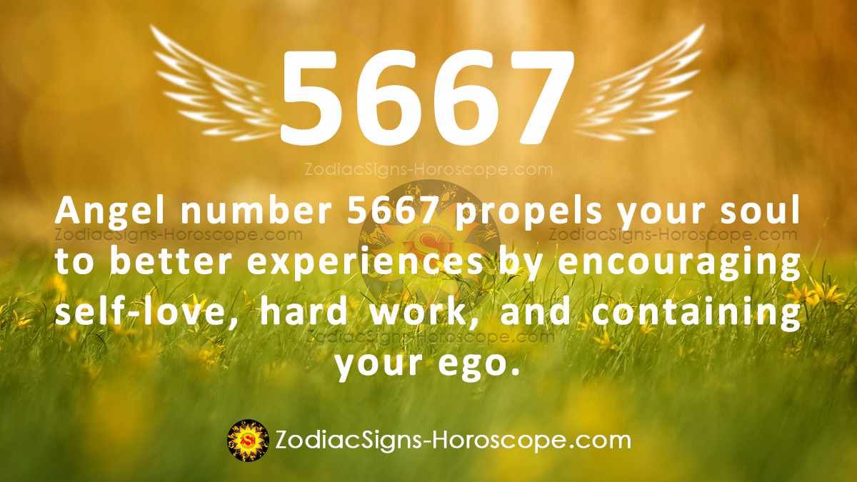 Significance of Angel Number 5667 Meaning: Choose Calmness