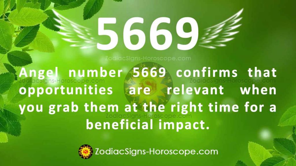 Angel Number 5669 Meaning and Symbolism: The Time is Now