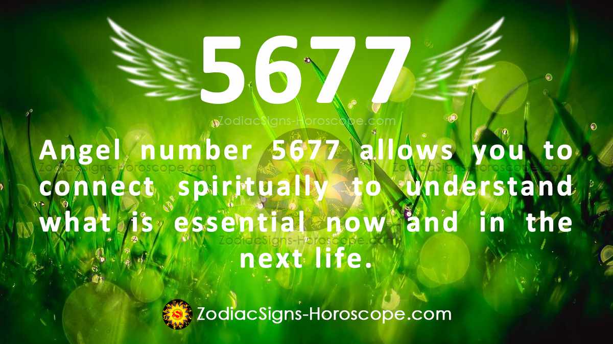 Angel Number 5677 Symbolic Meaning: Profitable Lifestyle