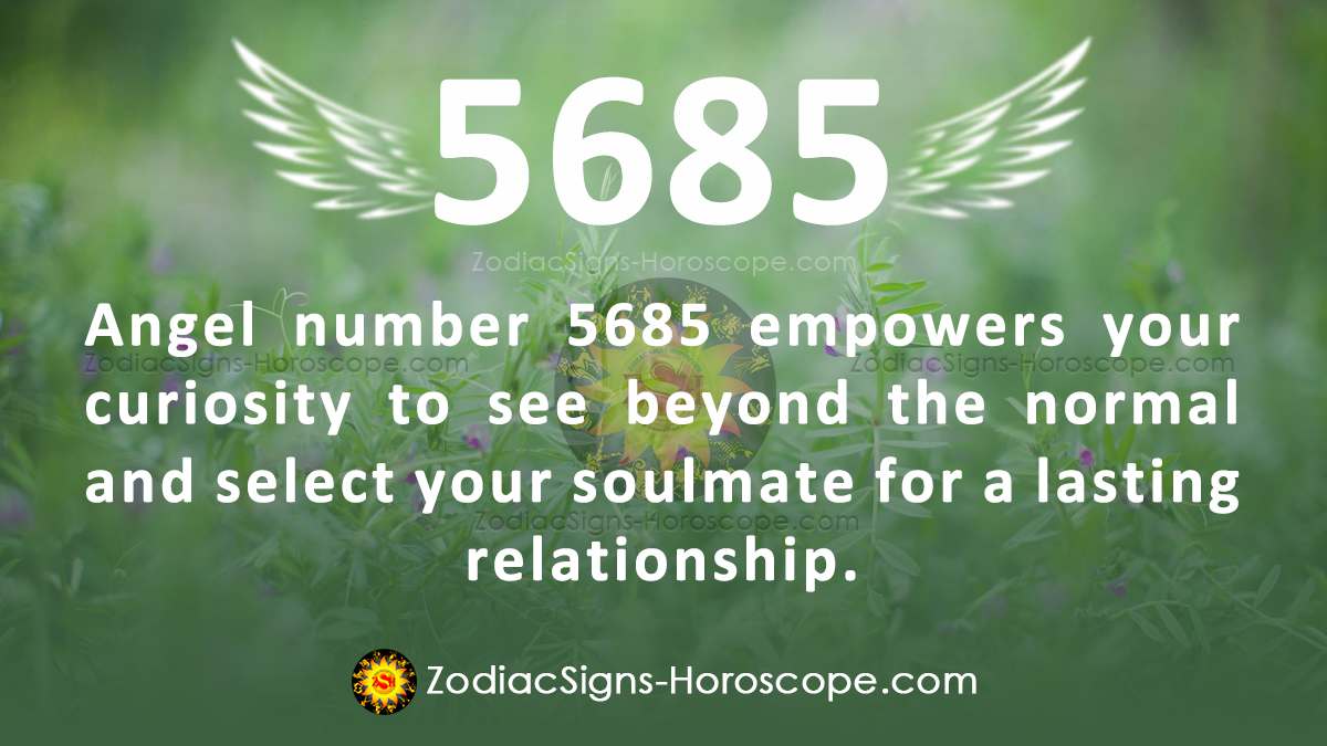 Seeing and Essence of Angel Number 5685: Achieve Freedom
