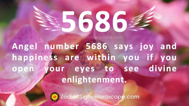 Spiritual Angel Number 5686 Meaning: Divine Enlightenment