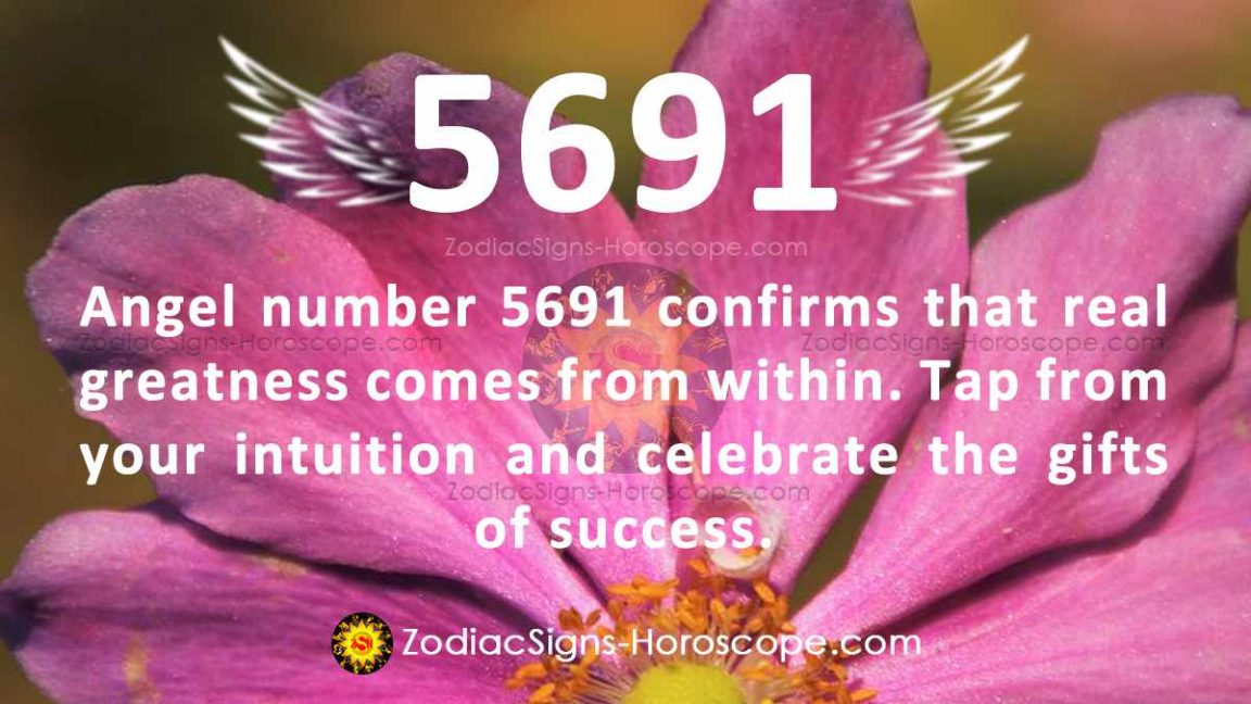 Significance of Angel Number 5691 Meaning: Mental Stability