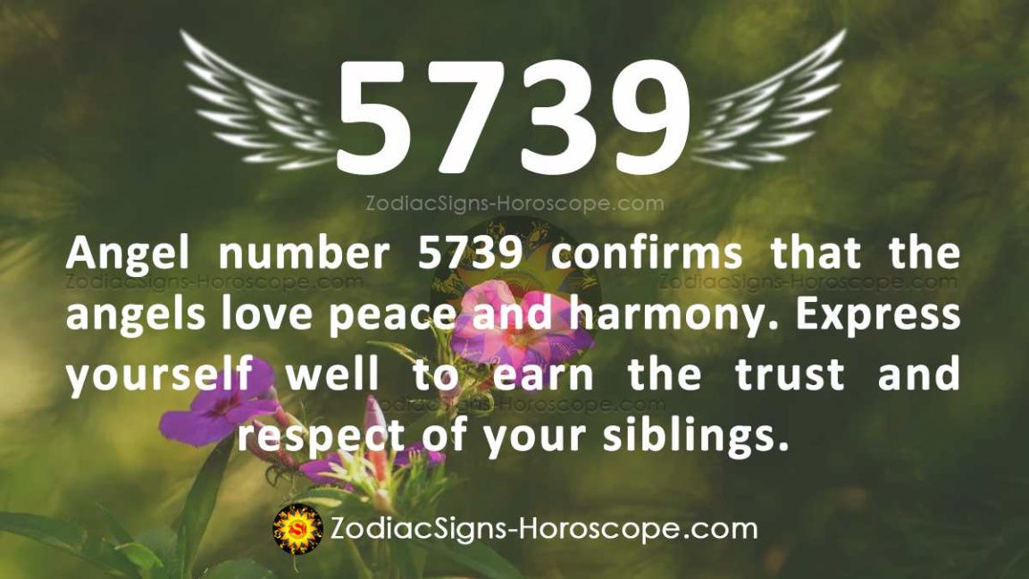 Significance of Angel Number 5739 Meaning: Harmonious Relationships