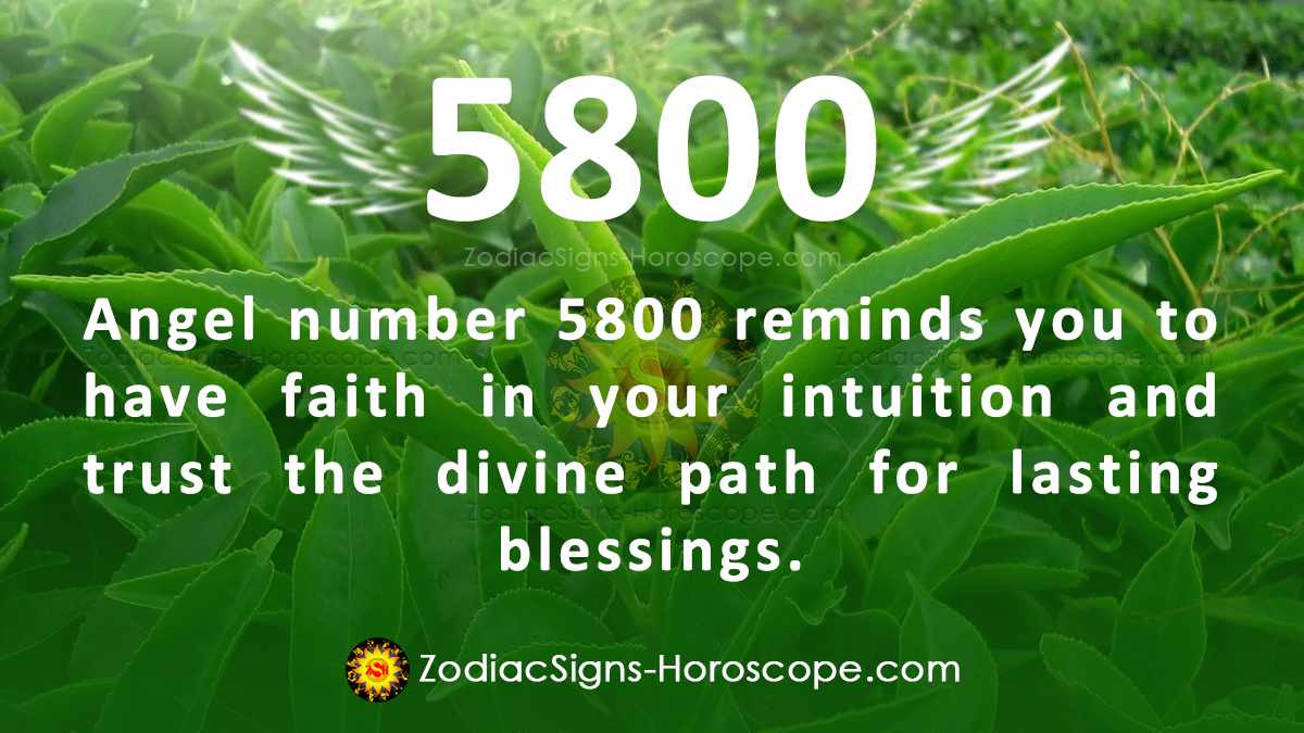 Spiritual Essence of Angel Number 5800 Meaning: Accept the Offer