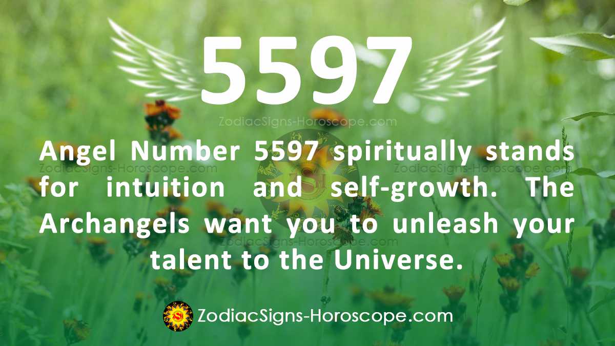 Influence of 5597 Angel Number: Stable Internal Environment