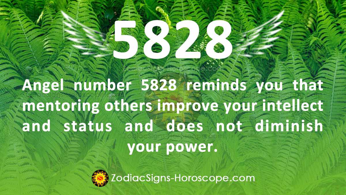 Seeing Angel Number 5828 Life Meaning: Lasting Success