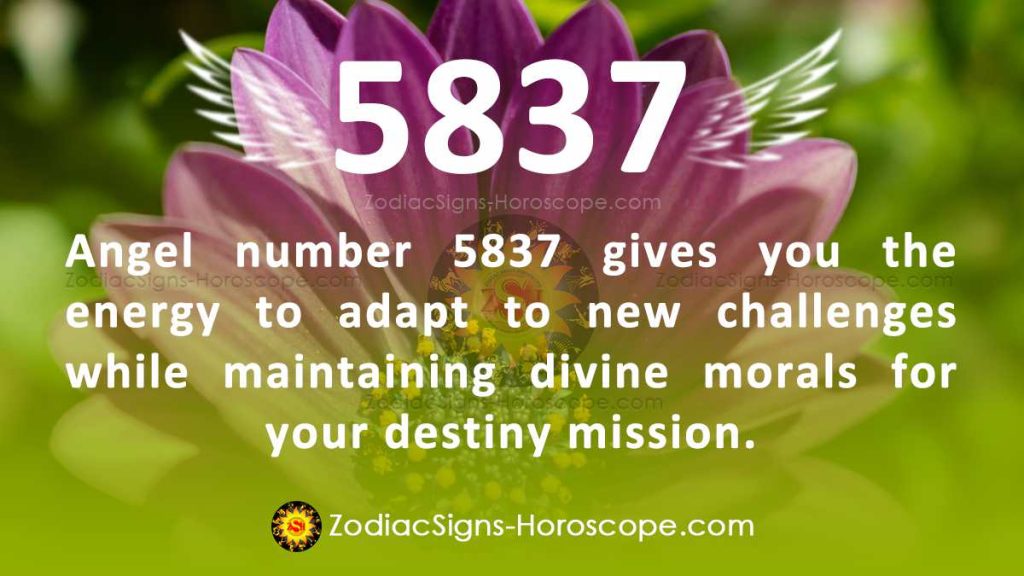 Real Essense of Angel Number 5837: A Dignified Life