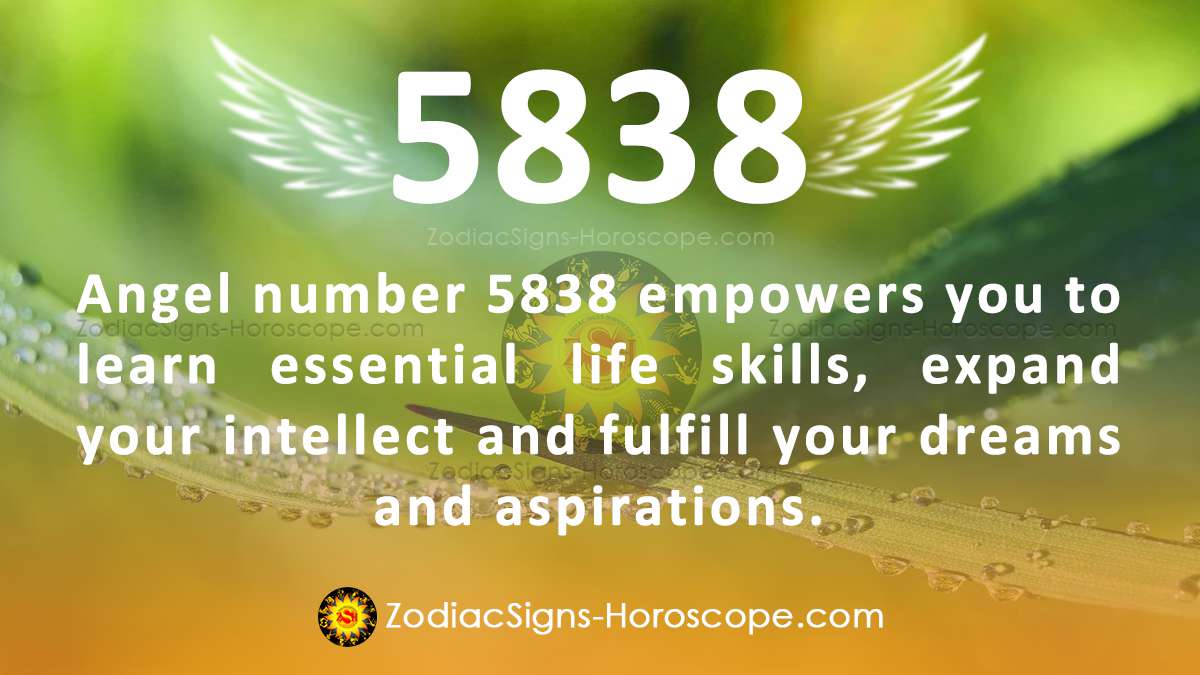 Seeing Spiritual Angel Number 5838 Meaning: Prosperous Life