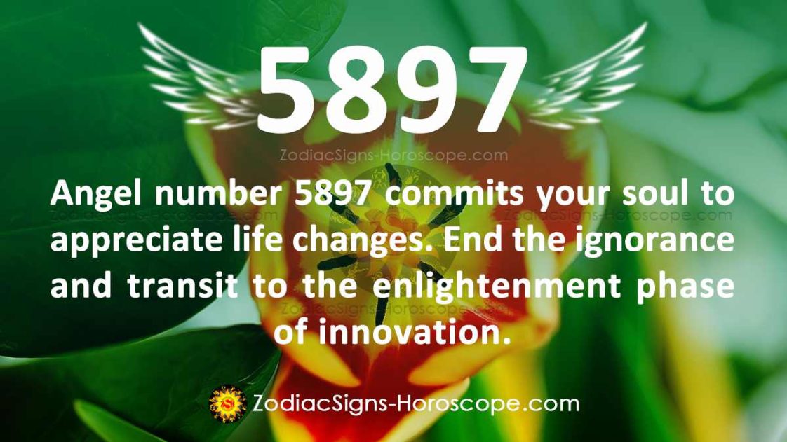 Seeing Real Angel Number 5897 Meaning: Authority to Create