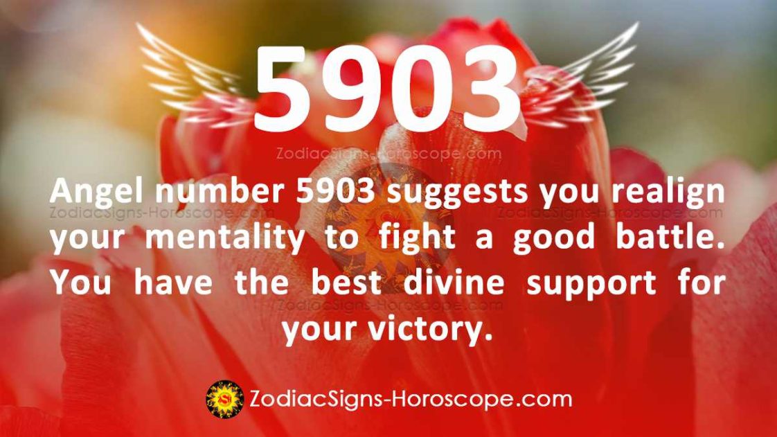Significance of Angel Number 5903 Meaning: Find Your Space