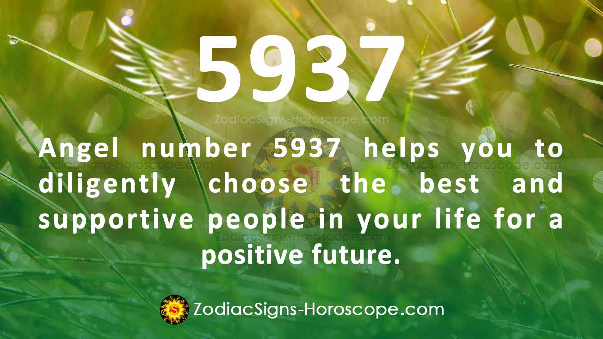 Seeing Angel Number 5937 Life Meaning: Reliable Partnerships