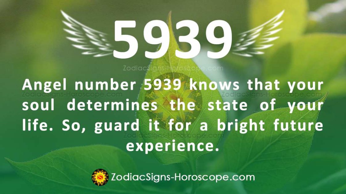 Seeing Discreet Angel Number 5939 Meaning: Guard Your Soul