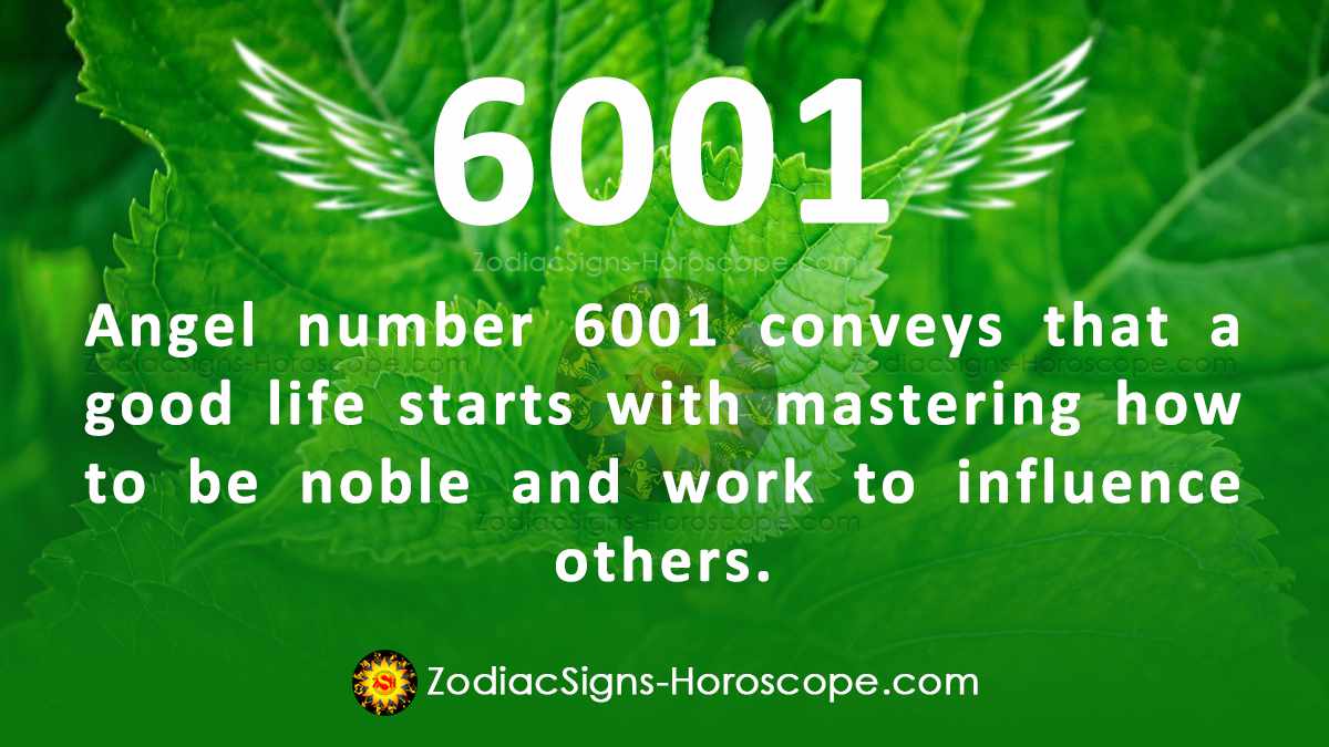 Seeing Discreet Angel number 6001 Meaning: Noble Personality