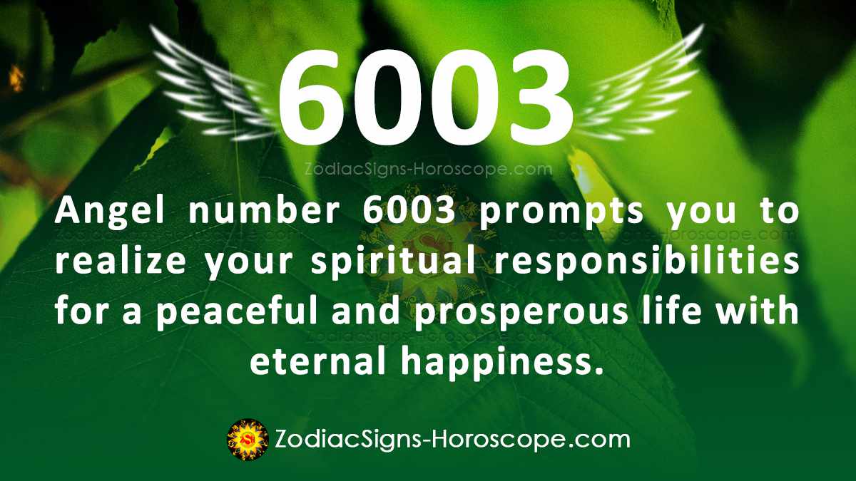 Life Essense of Angel Number 6003: Divine Tolerance | 6003 Twin