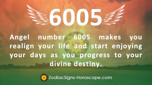 Life Essense of Angel Number 6005 Meaning: Focus on Living