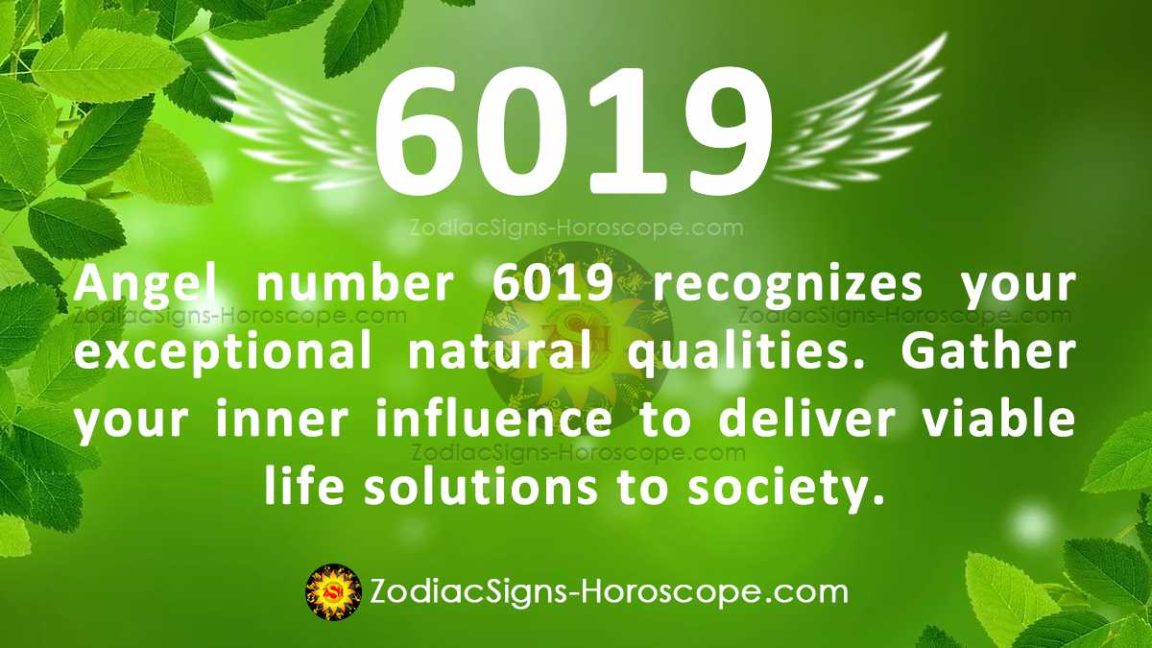 Seeing Angel Number 6019 Discreet Essence: Born to Serve