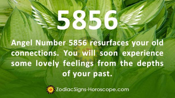 Zodiac Signs Horoscope - Sun Signs, Compatibility, Angel Numbers