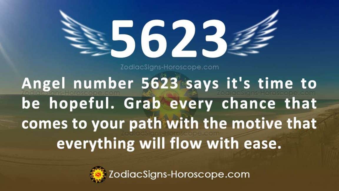 Seeing 5623 Angel Number Represents Light of Favor and Fortune