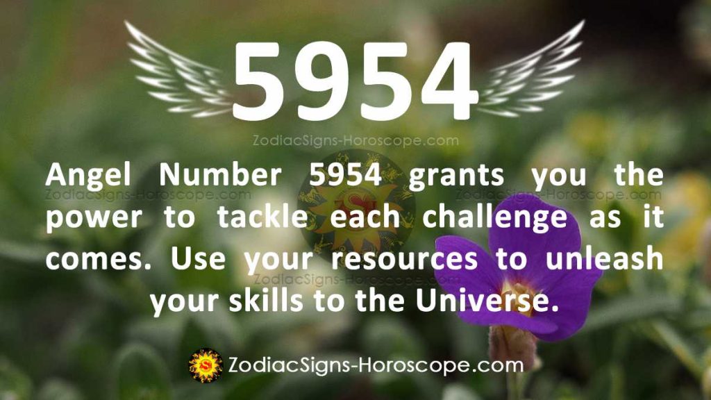 The Influence of 5954 Angel Number: Being Hopeful Always