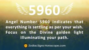 The Significance of 5960 Angel Number Says Slowing Down