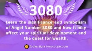 Zodiac Signs Horoscope - Sun Signs, Compatibility, Angel Numbers