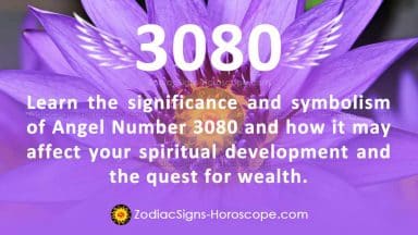 Zodiac Signs Horoscope - Sun Signs, Compatibility, Angel Numbers