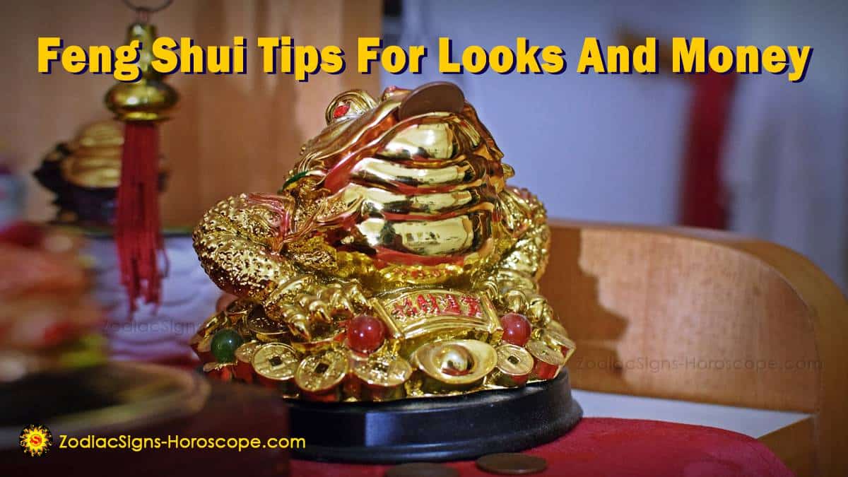 Understanding Feng Shui Tips For Looks And Money - ZodiacSigns ...