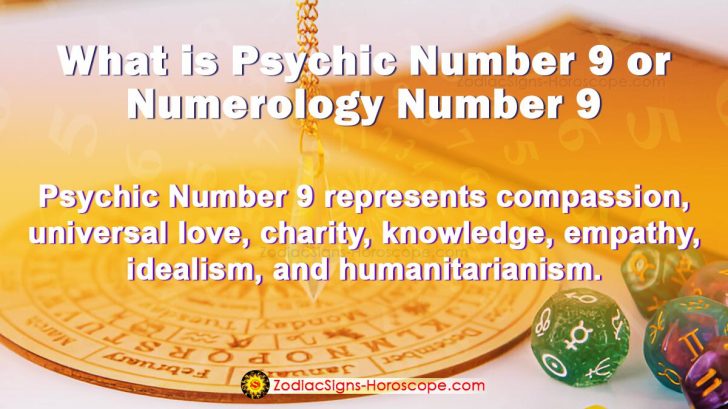 What is Psychic Number 9 or Numerology Number 9? - ZodiacSigns ...